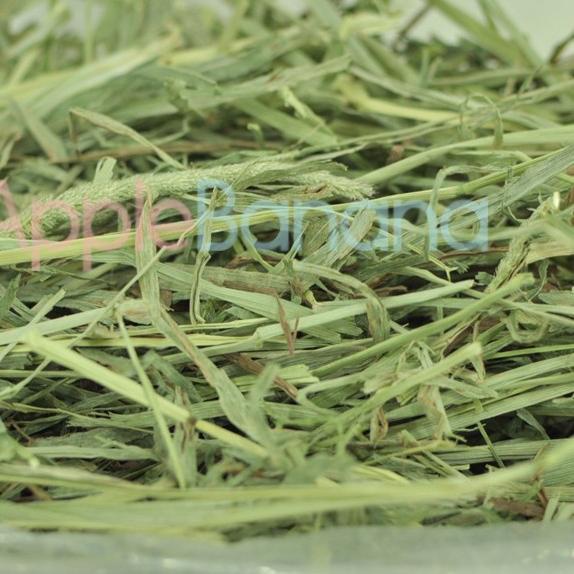 Jual Timothy Hay King 1 kg - Rumput Hay Timothy AFK (Alfalfa King) 1kg ...