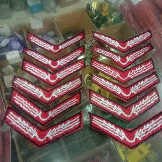 Jual TKU / TANDA KECAKAPAN UMUM PRAMUKA PENGGALANG RAMU | Shopee Indonesia