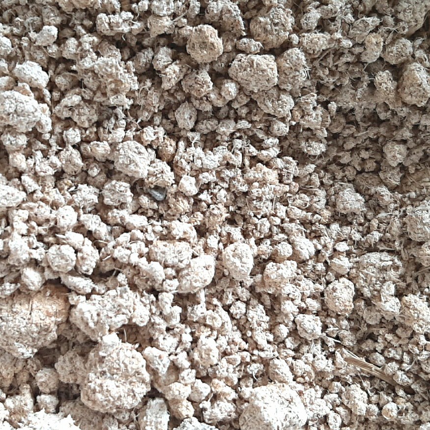 Jual Ampas Telo Growol Onggok Singkong Kering Pakan Ternak Sapi Kambing | Shopee Indonesia