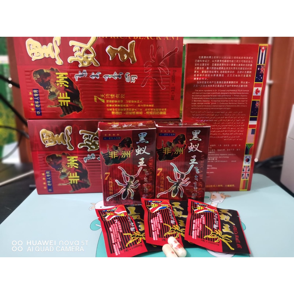 Jual SEMUT HITAM AFRIKA/ AFRIKA BLACK ANT Indonesia|Shopee Indonesia