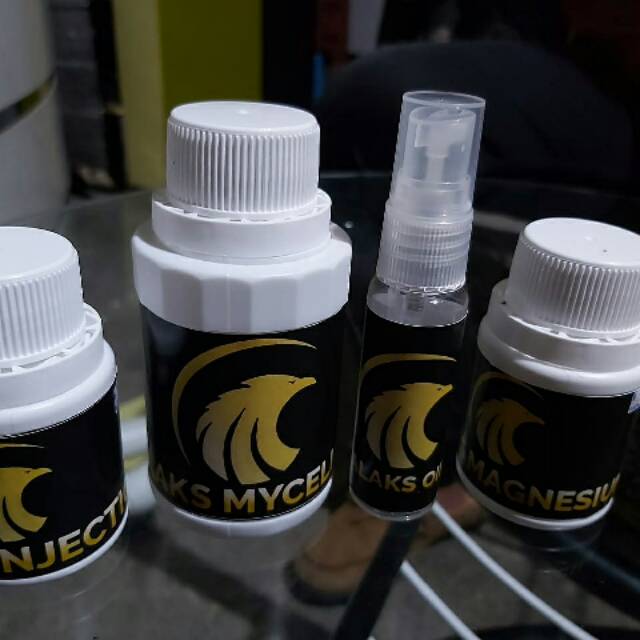 Harga galaks strongman Terbaru Okt 2025 | BigGo Indonesia