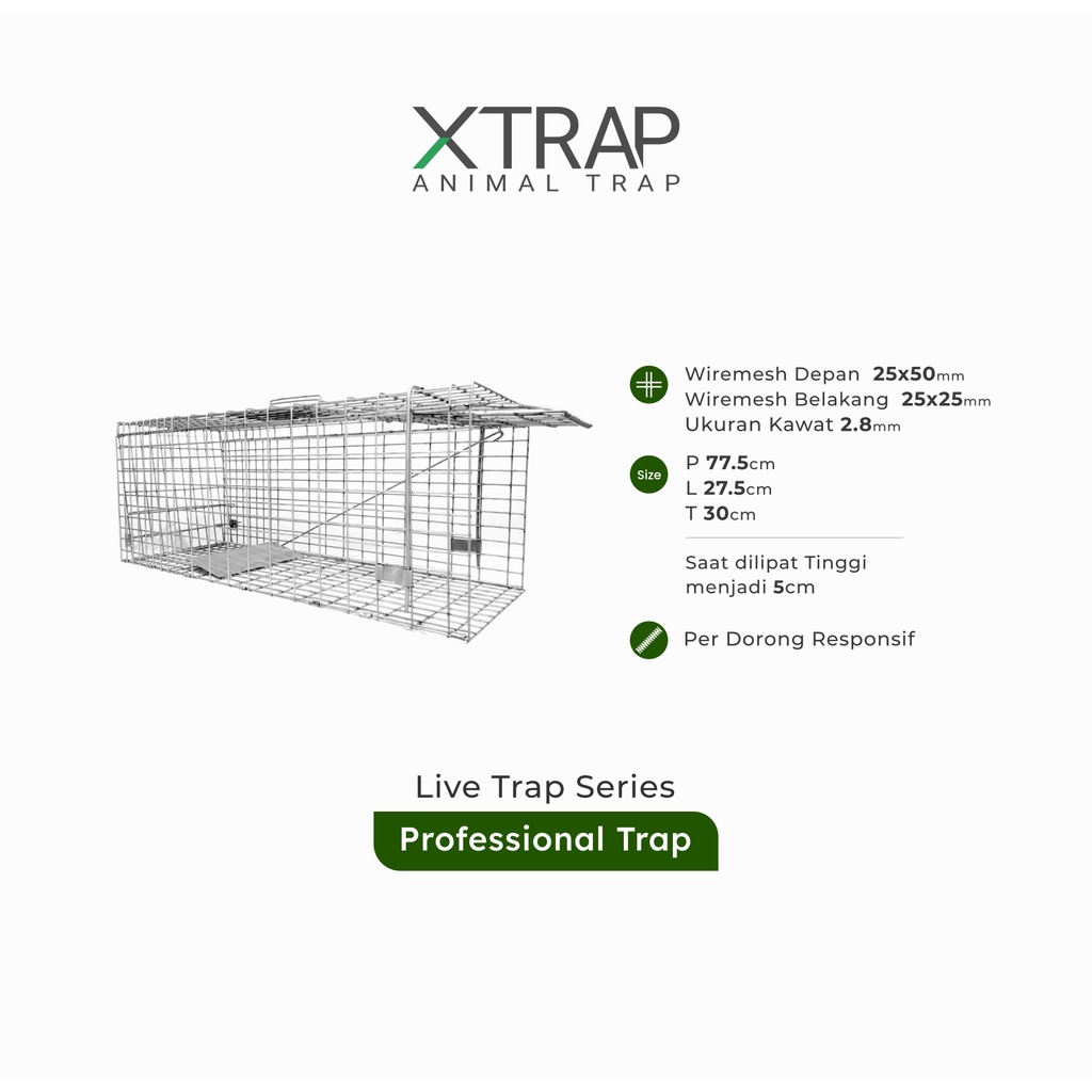 Jual Perangkap Kucing Liar Musang Garangan Professional Trap | Shopee ...