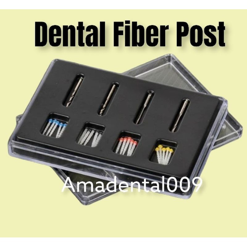 Harga fiber post straight Terbaru Jul 2025 | BigGo Indonesia