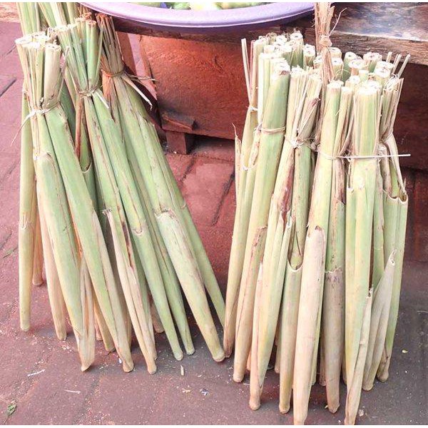 Jual Bunga Tebu Terubuk Terubus atau Turubuk 1kg Indonesia|Shopee Indonesia