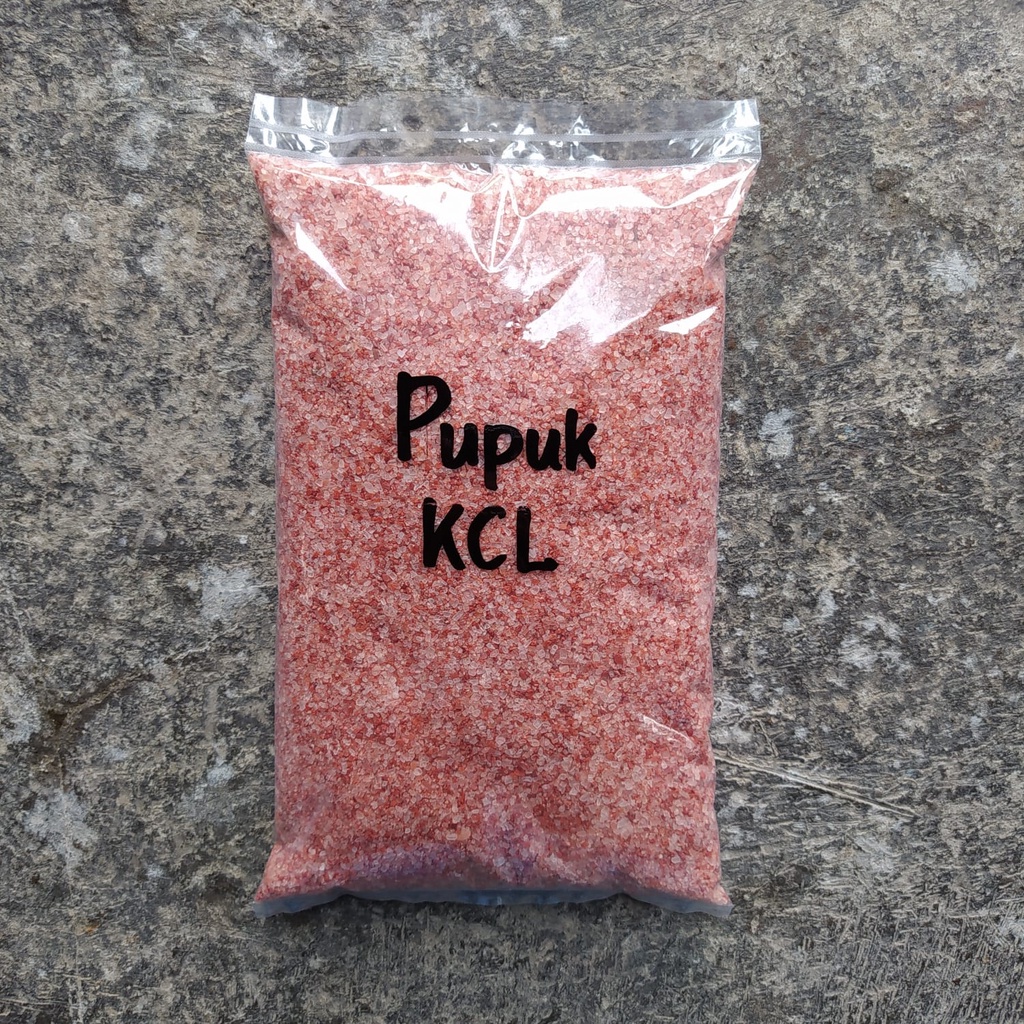 Jual Pupuk KCL Kalium Clorida Mahkota Canada Cegah Rontok 1 Kg | Shopee ...