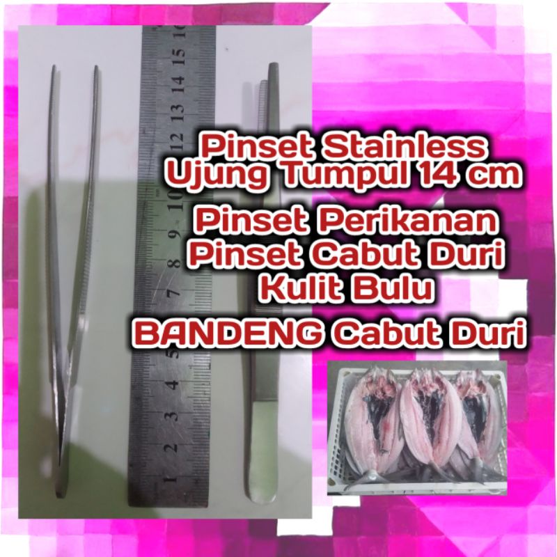 Jual alat cabut duri, cara cabut duri ikan bandeng pakai pinset, cocok ...