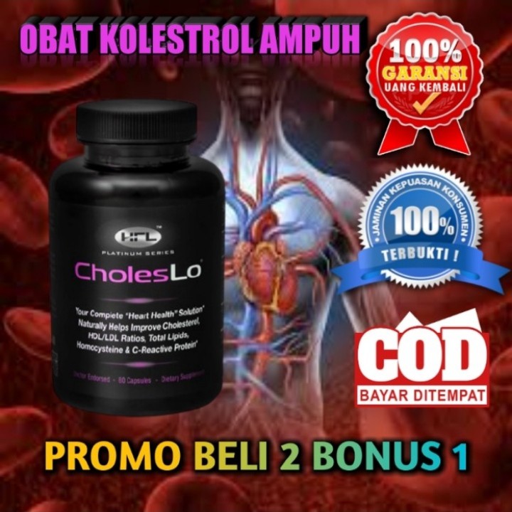 Jual Obat Kolestrol Ampuh CholesLo Naturally Improve Cholestroll ...