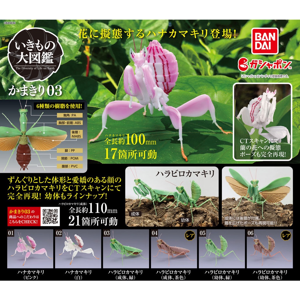 Jual Hana Kamakiri 03 Orchid Mantis Belalang Sembah Bunga Bandai Gacha ...