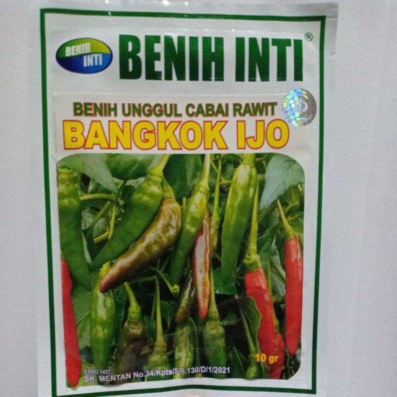 Jual Benih Cabe Rawit Hijau BANGKOK IJO isi 10 gram Dinasty Inti ...