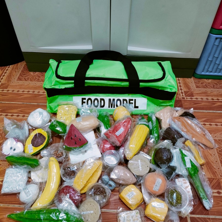 Jual Food Model Gizi 4 Sehat 5 Sempurna. | Shopee Indonesia