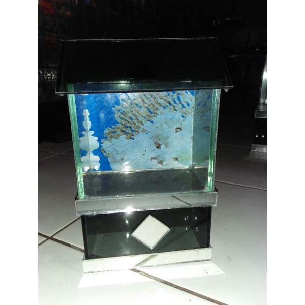 Jual AQUARIUM KECIL MODEL RUMAH P(15cm) x L(8cm) x T(11.5cm) | Shopee ...