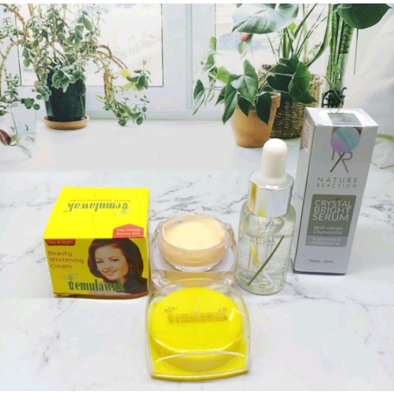 Jual SERUM NR[Natura reaction] PLUS CREAM [Temulawak beuty] | Shopee ...