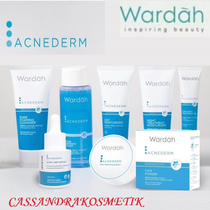Jual WARDAH ACNEDERM ALL VARIANTS (SATUAN) | PORE REFINING TONER / DAY ...