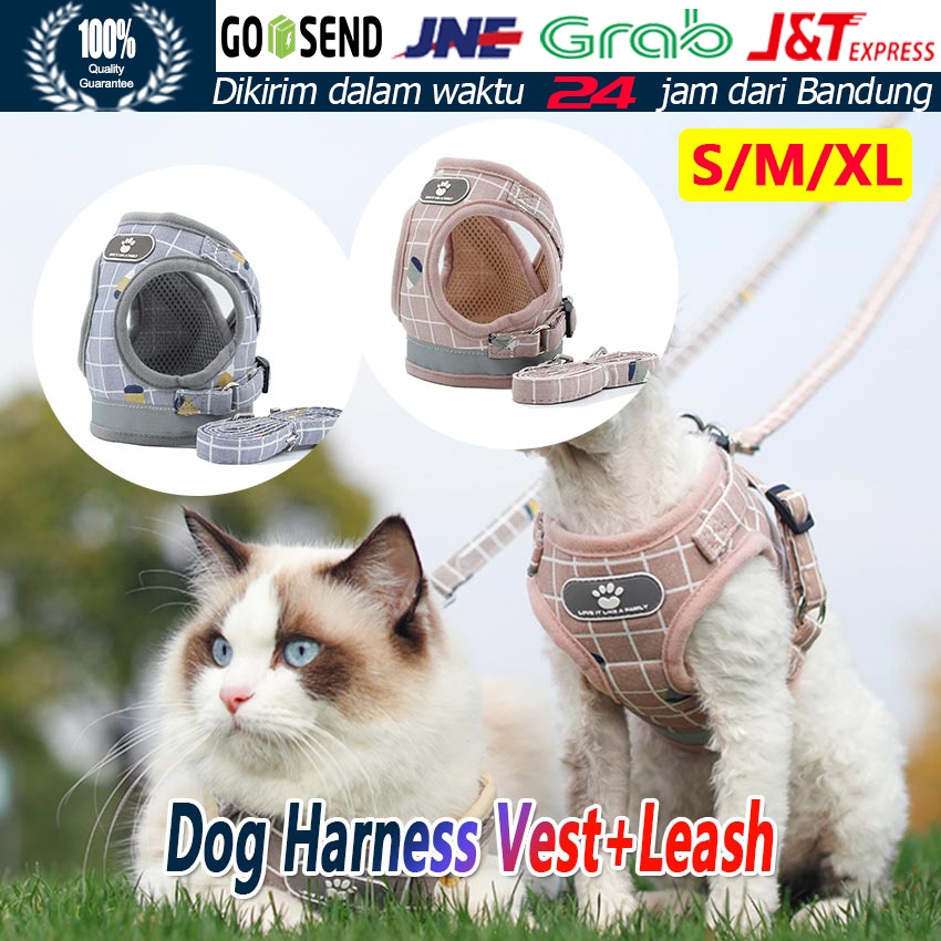 Jual Helm Kucing Terlengkap & Harga Terbaru Januari 2023 | Shopee Indonesia
