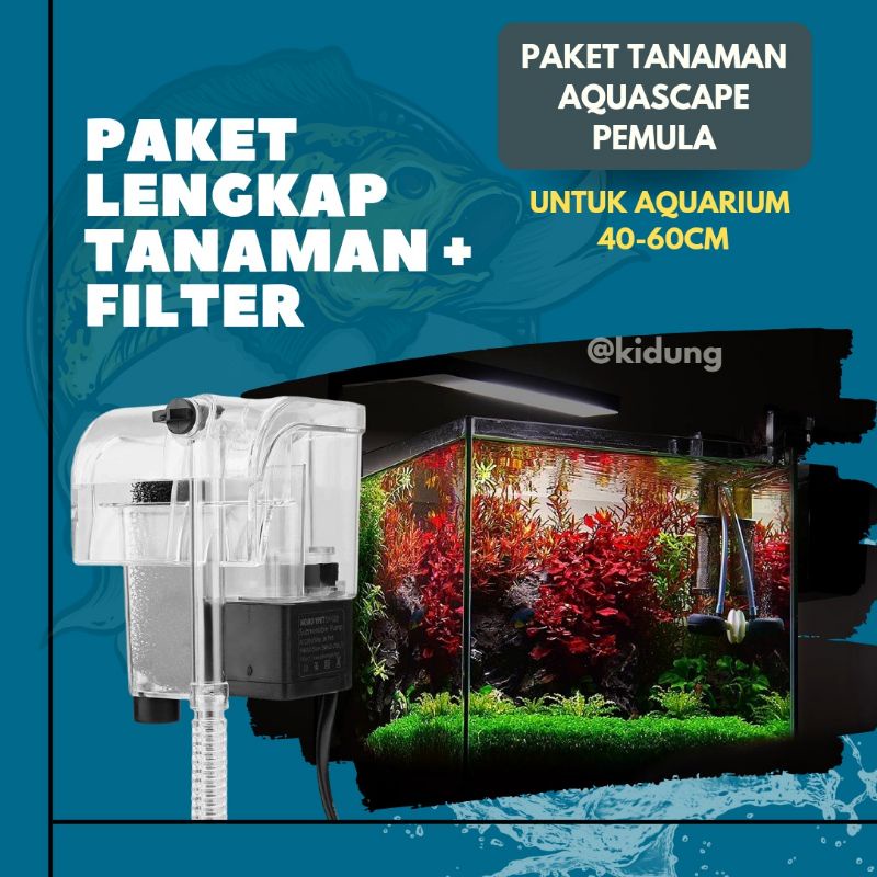 Jual Paket Lengkap Tanaman + Filter Gantung Aquascape Tanpa Co2 ...