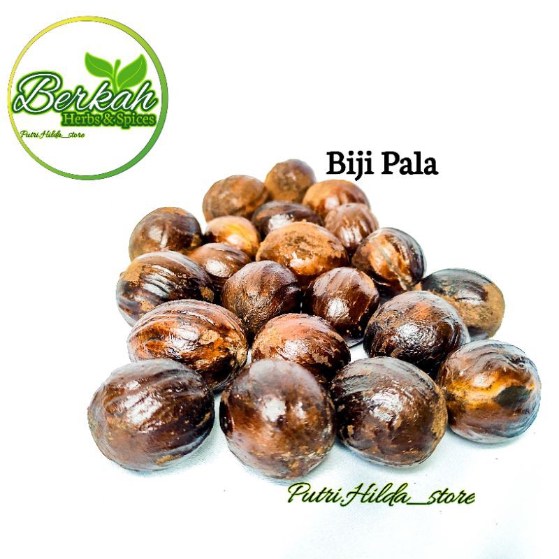 Jual Biji Pala / Nutmeg 1pcs | Shopee Indonesia