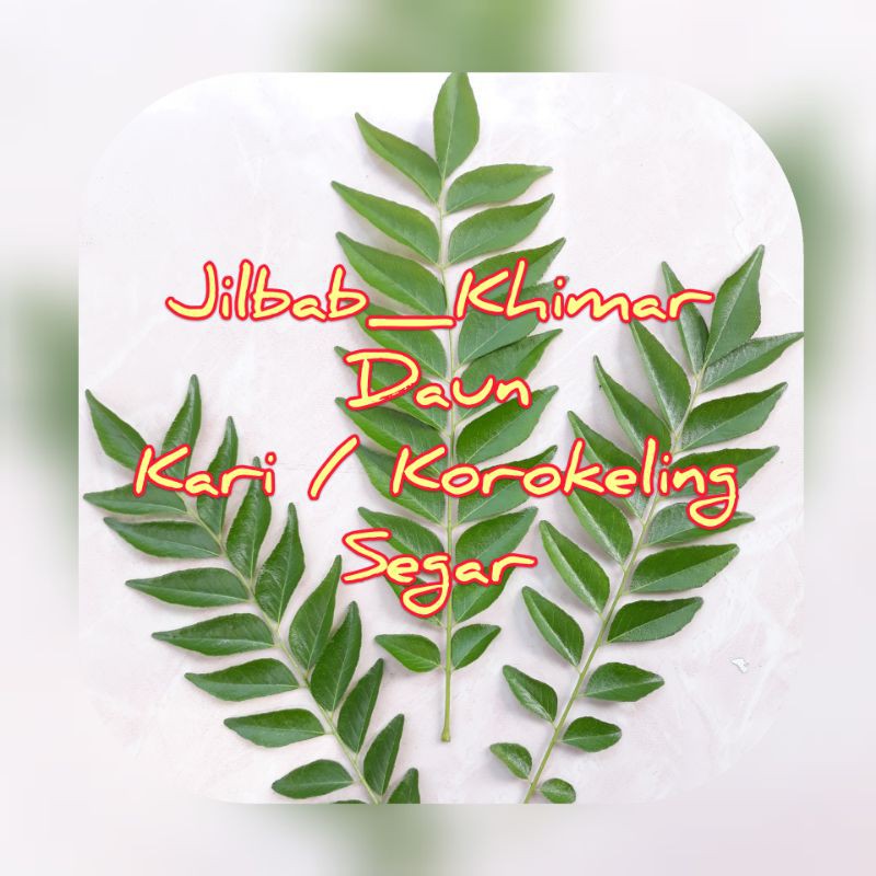 DAUN KARI / RUKU-RUKU / SALAM KOJA / TEMURUI / KOROKELING SEGER ...