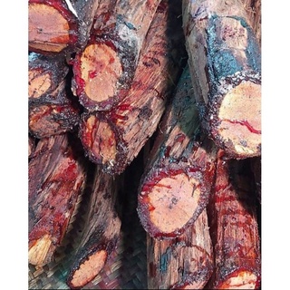 Jual AKAR KAYU BAJAKAH GETAH MERAH SEGAR BATANGAN BERGARANSI | Shopee ...