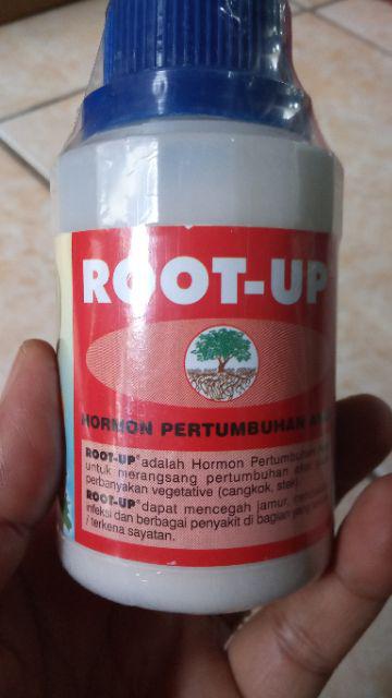 ROOT UP 100 GRAM zpt hormon pertumbuhan akar | Shopee Indonesia