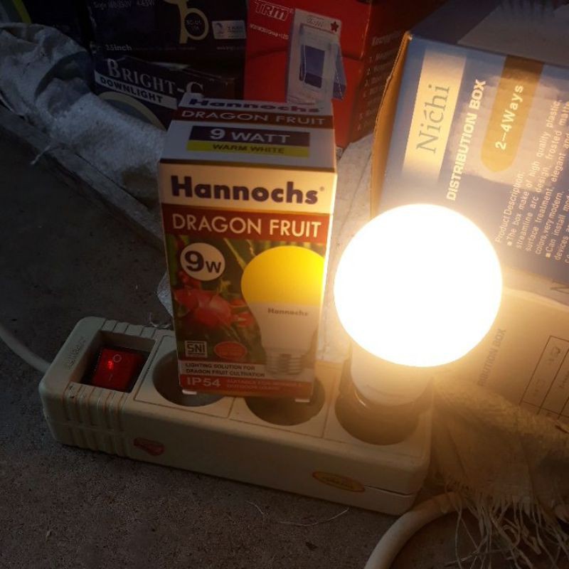 Jual Hannochs Lampu Led Buah Naga 9W Dragon Fruit 9watt Kuning pertanian di kota pontianak ...