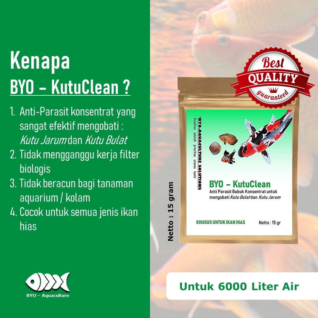 Jual OBAT KUTU KONSENTRAT IKAN KOI, OBAT KUTU BULAT & OBAT KUTU JARUM ...