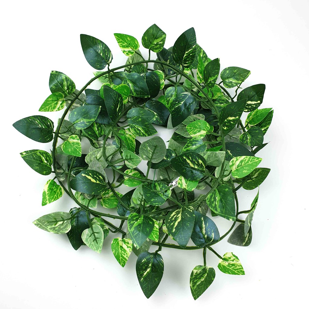 Jual Daun Sirih Gading Rambat Plastik 2.7m, Daun Hijau Muda & Tua/ Daun ...