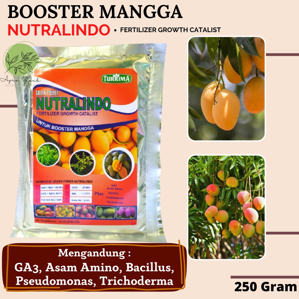 Jual Pupuk Organik Booster Mangga, Booster Mangga Diluar Musim, Pupuk Mangga Booster, Pupuk ...