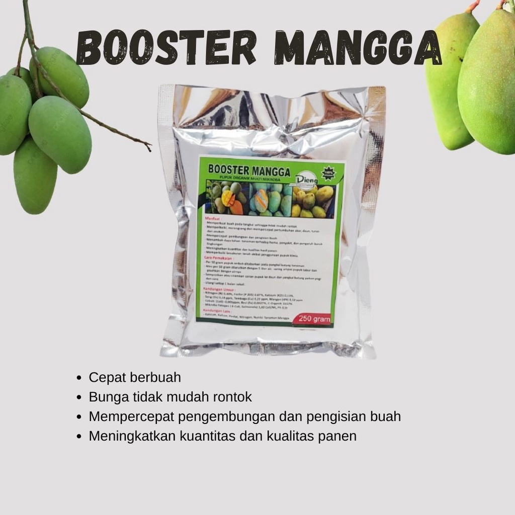 Jual Pupuk Booster Organik Mangga Pelebat Buah Mangga, Pupuk Mangga agar cepat berbuah 250 gram ...