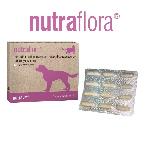 Jual Nutraflora Suplemen Gastrointestinal & Probiotic untuk Support ...