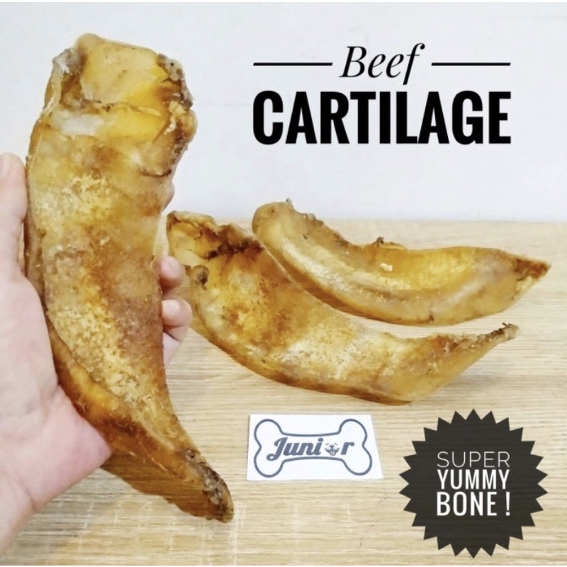 Jual Beef Scapula Dog Snack / Whole Beef Cartilage / Tulang Muda Sap ...