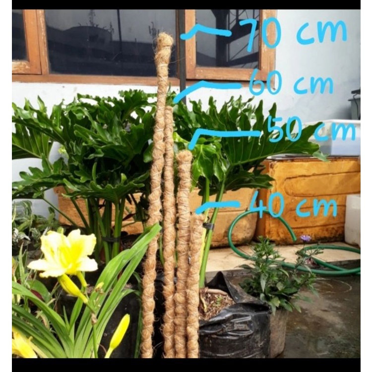 Jual turus bambu lapis cocofiber, turus bambu sabut kelapa, murah bagus ...