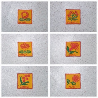 Jual Badge Regu Putri Pramuka Penggalang | Shopee Indonesia