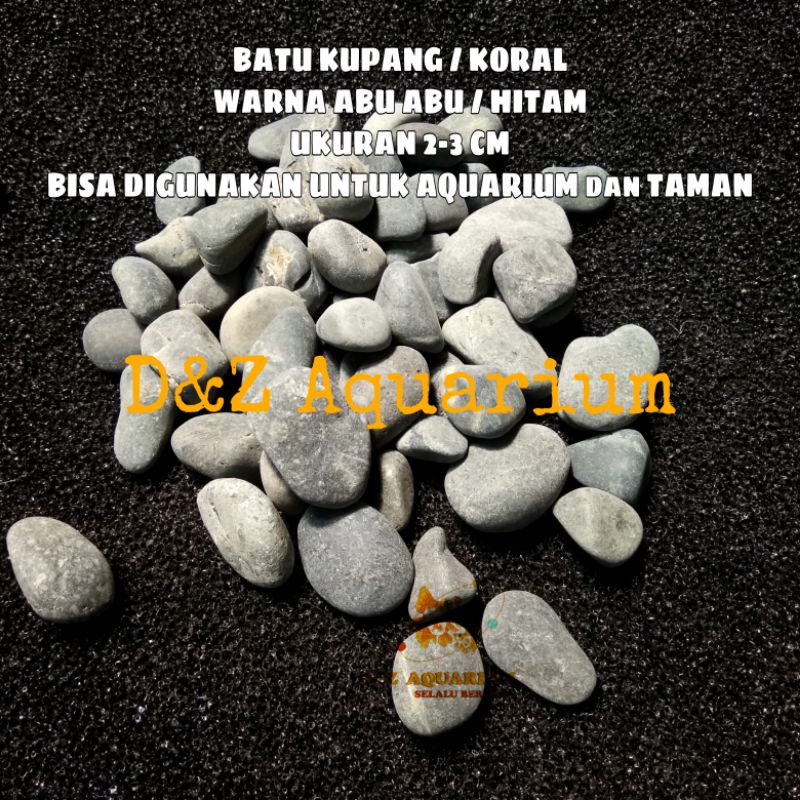 Jual Batu Kupang Koral Abu Aksesoris Aquarium Dekorasi Taman 1 kg ...