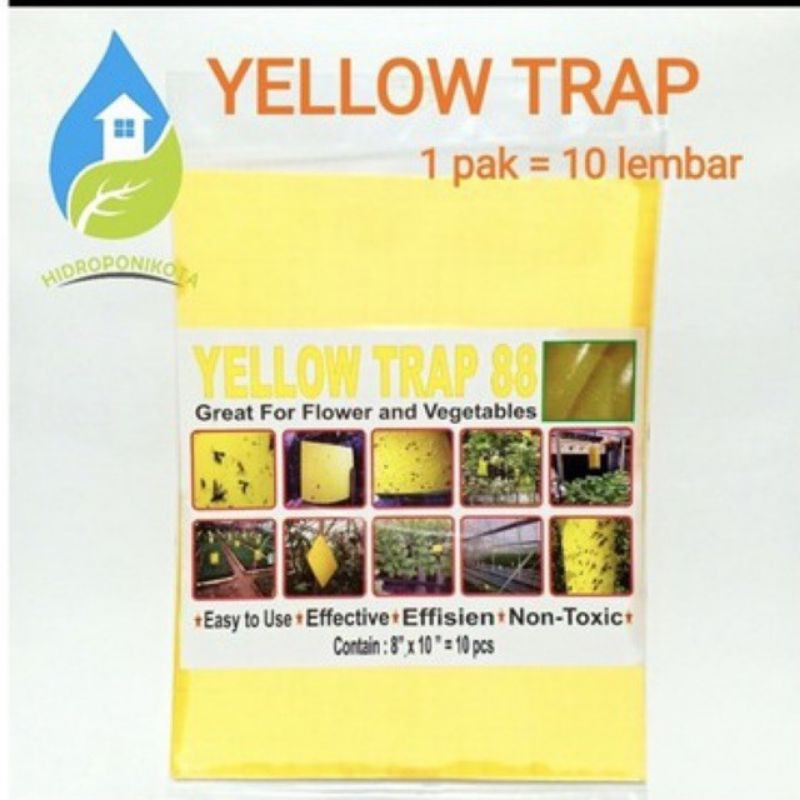 Jual yellow trap (1 pack = 10 lembar) insect trap perangkap serangga ...