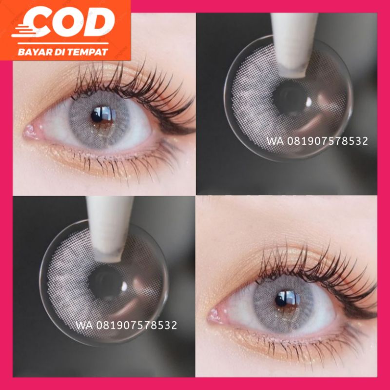 SOFLENS GREY Softlens Normal Softlens Minus Softlens Grey Soflens ...