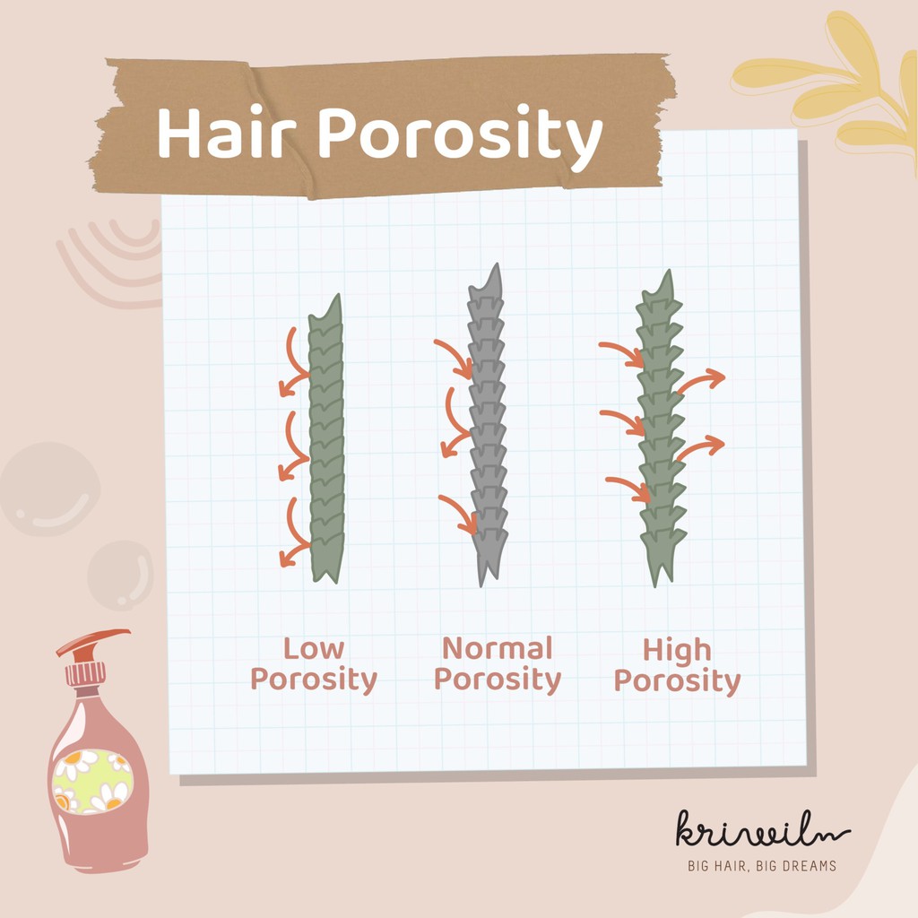 Toko Online Kriwil Official Shop | Shopee Indonesia