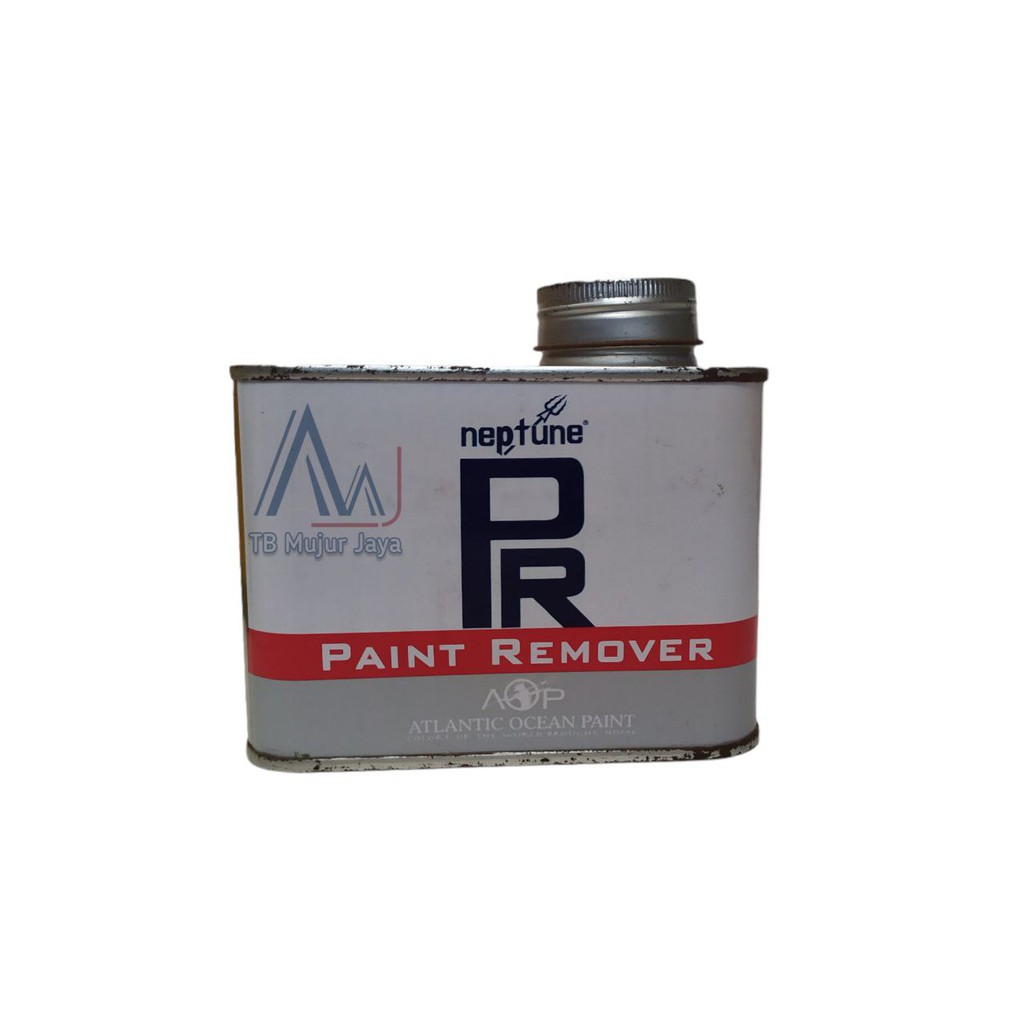 Jual PR Paint Remover / Cairan Penghilang Cat 500 ml | Shopee Indonesia