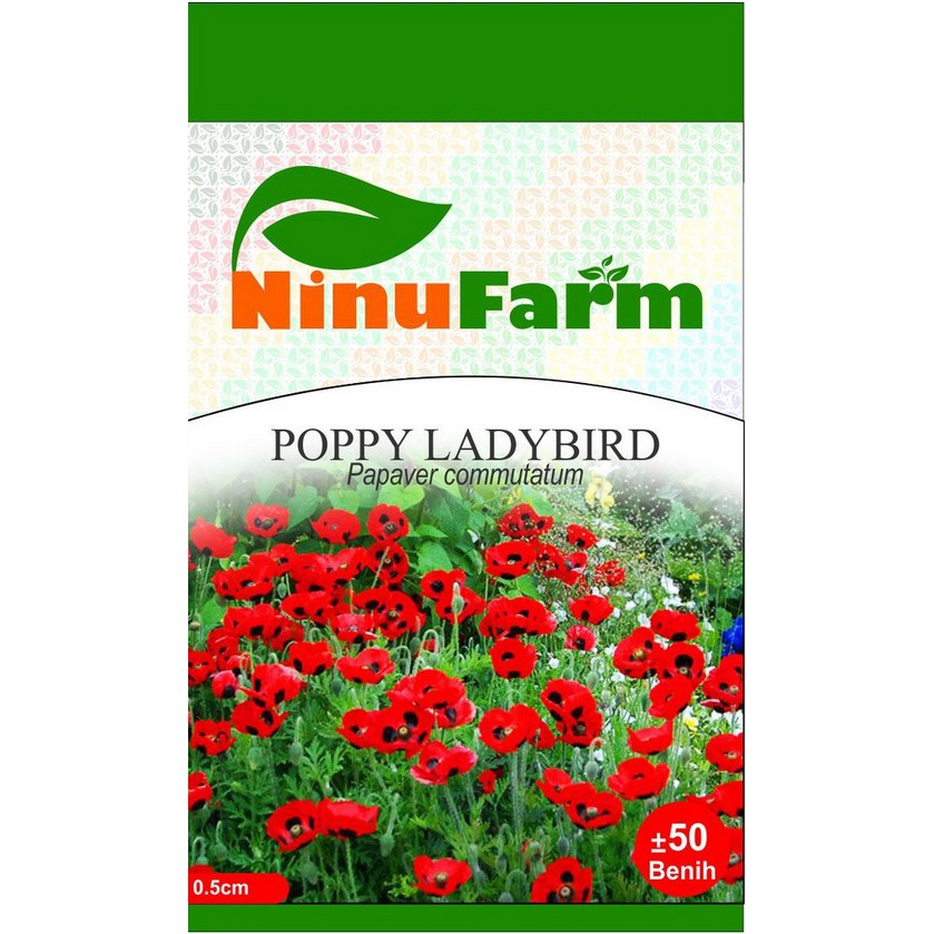 Jual Benih Bibit Bunga Popi/Poppy Ladybird Ninufarm (50 Butir) | Shopee ...