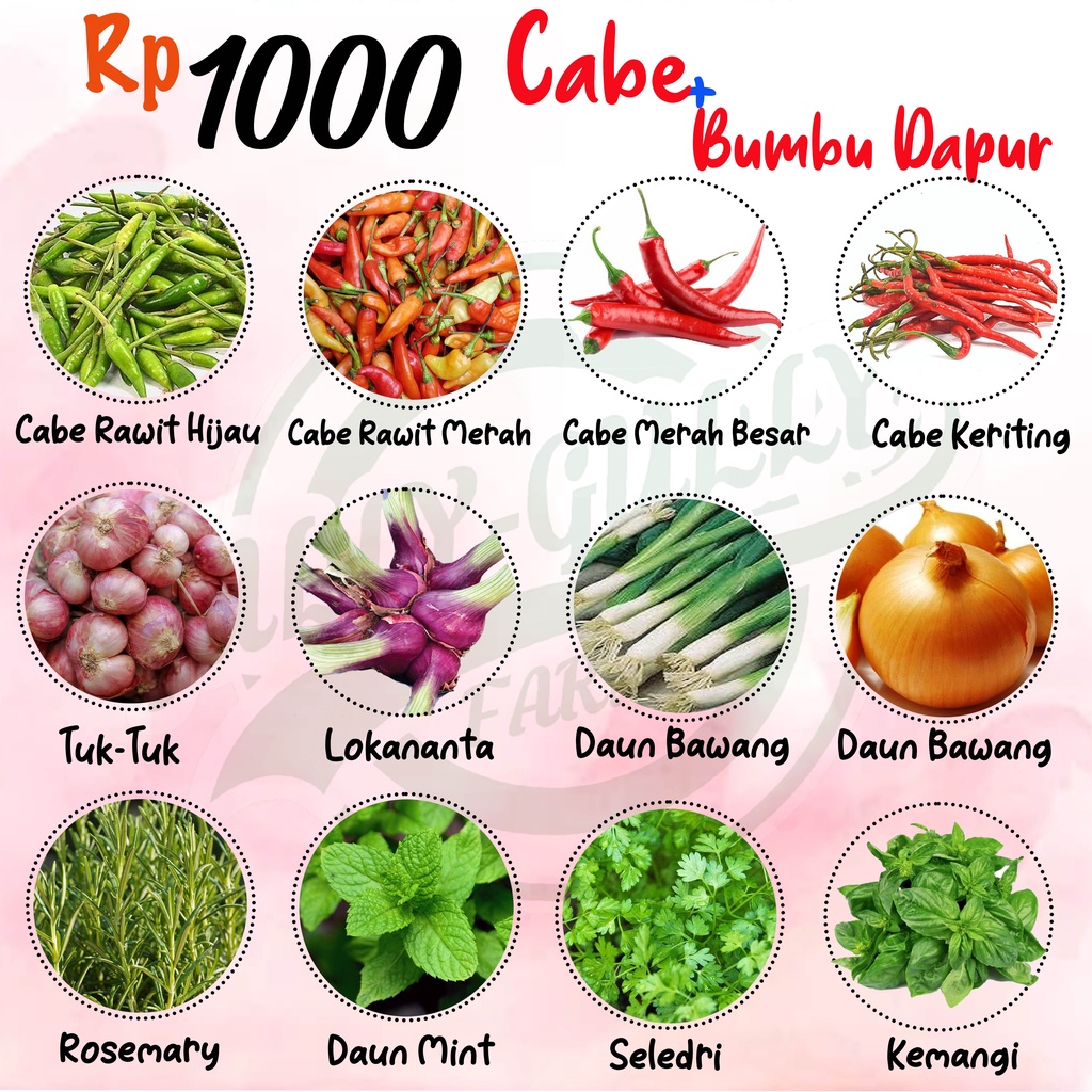 Jual Benih Sayuran Cabe Cabai Murah Bibit Bumbu Dapur Sayuran Ratusan ...