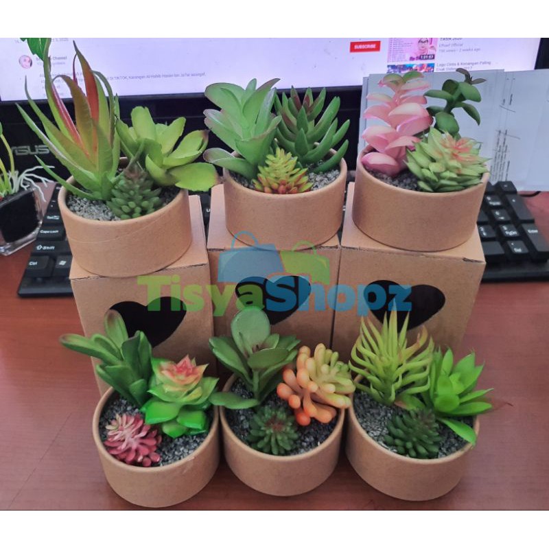 Jual Mini Sukulen / Kaktus Mini Pot Bulat / Kaktus Artificial | Shopee ...