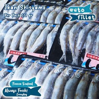 Jual IKAN SHISAMO FISH / SISAMO / SHISYAMO / IKAN TELUR IMPORT JEPANG ...