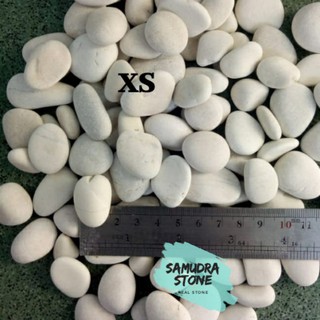 Jual Batu koral putih 1kg/Batu Hias Taman Putih kupang | Shopee Indonesia