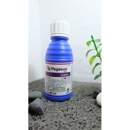 Jual Insektisida Pegasus 500 sc Kemasan 80 ml Indonesia|Shopee Indonesia