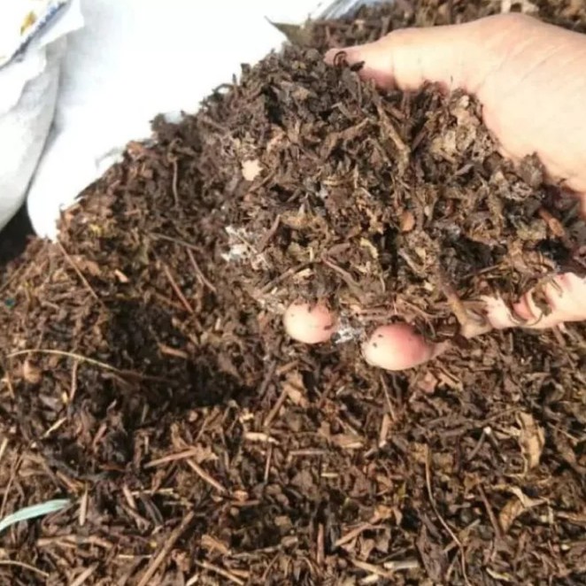 Jual Media Tanam Humus Daun Bambu Fermentasi Subur Gembur Bernutrisi ...