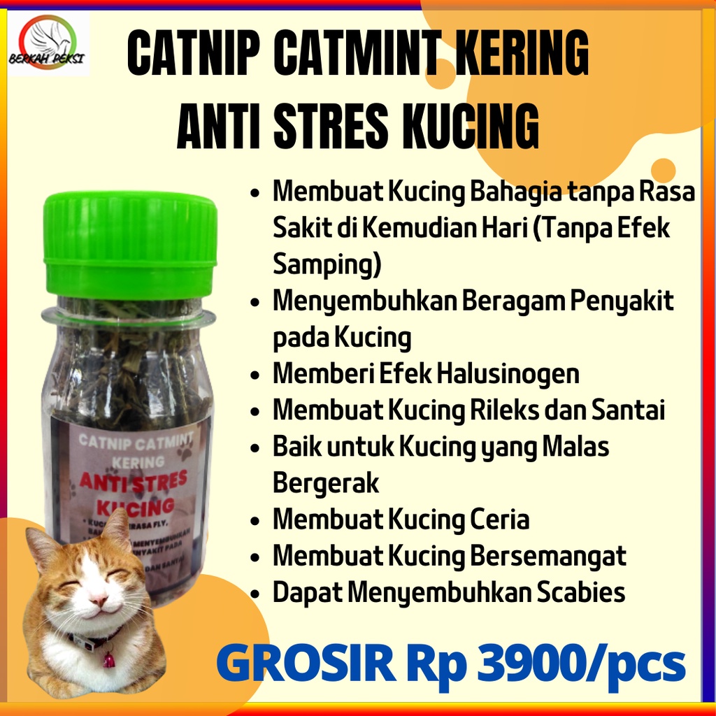 Jual CATNIP CATMINT UNTUK HEWAN PELIHARAAN MEMBUAT KUCING LEBIH AKTIF ...