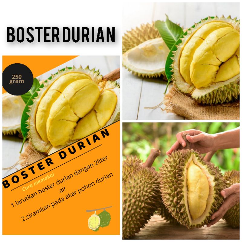 Jual BOSTER DURIAN BOOSTER DURIAN PUPUK DURIAN PELEBAT BUAH DURIAN ANTI RONTOK BUNGA PASTI ...
