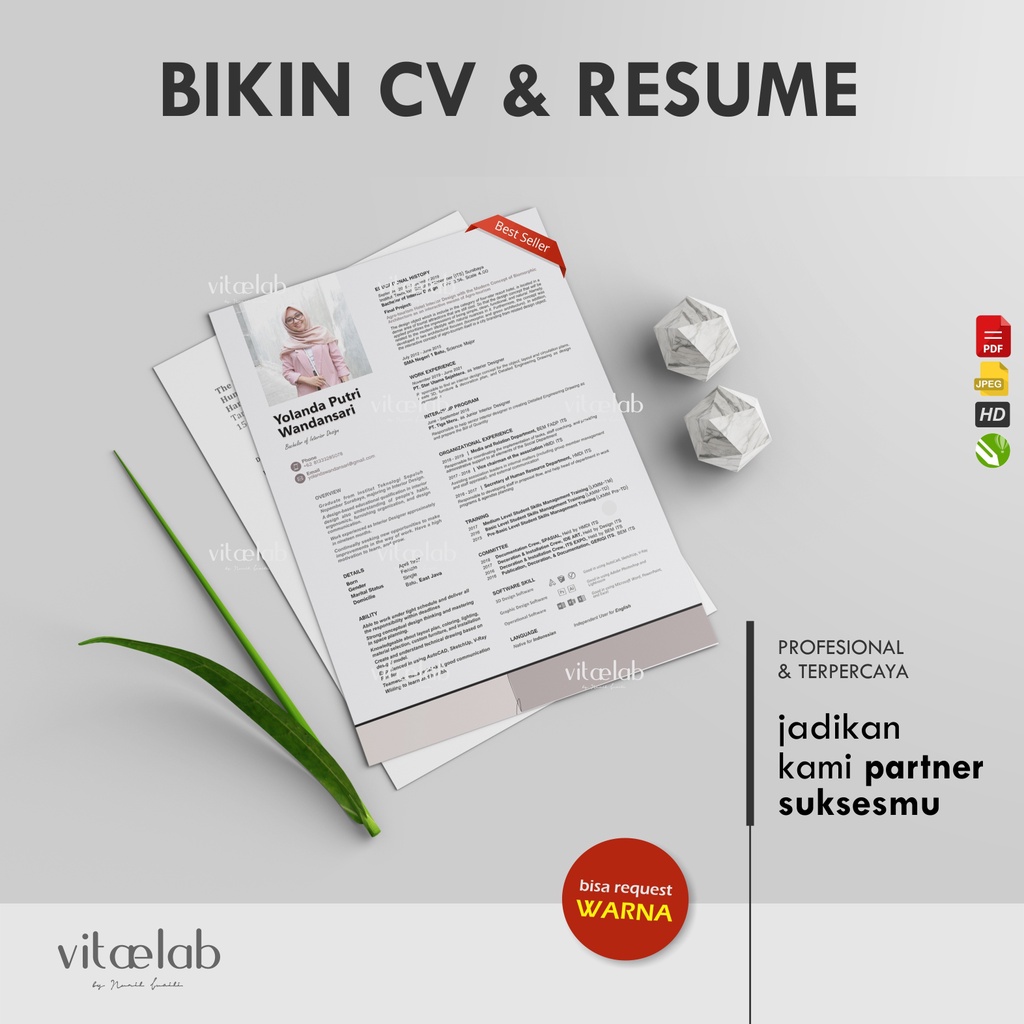 Jual Desain CV/ Resume Profesional (Free Edit Foto) + Surat lamaran ...