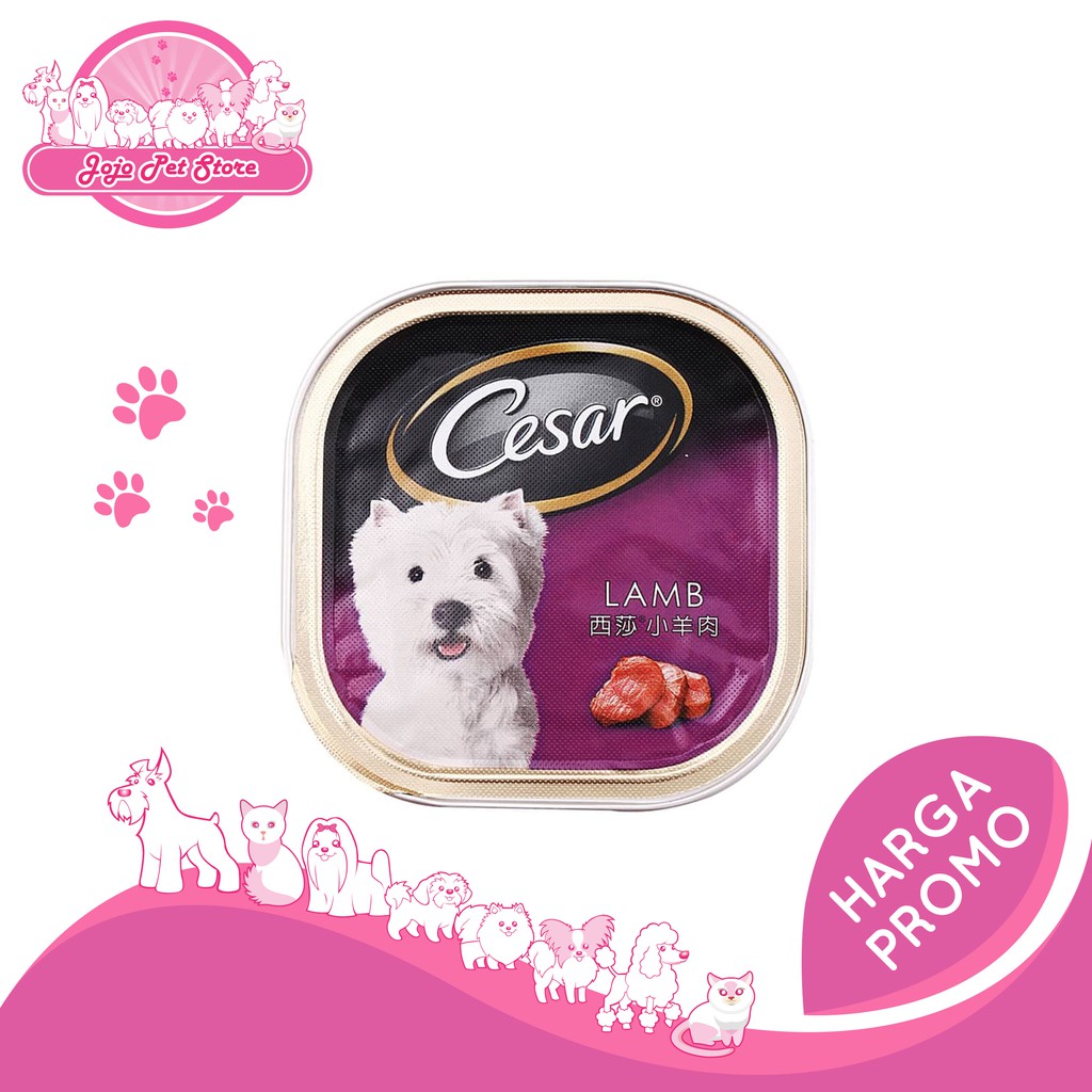 Jual CESAR LAMB 100GR - MAKANAN ANJING | Shopee Indonesia