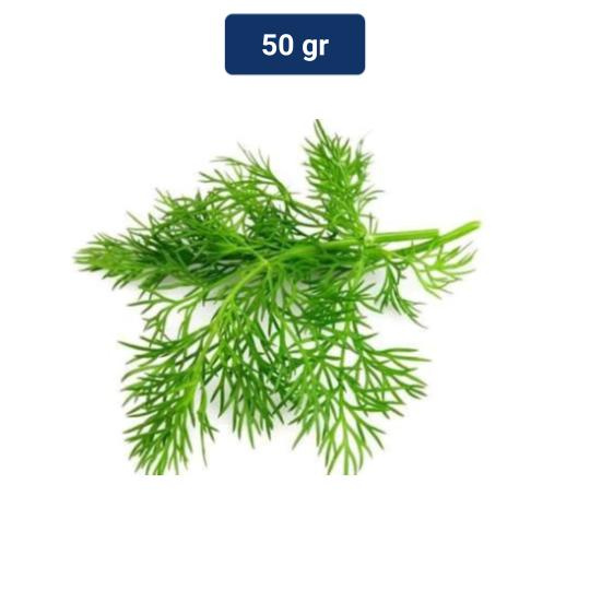 Jual Daun Dill Organik 50 gr | Shopee Indonesia