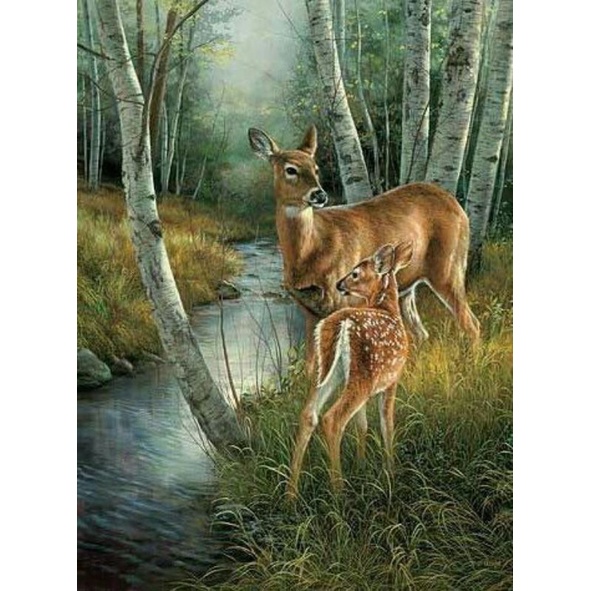 Jual lukisan cetak rusa dan kancil plus bingkai uk 65 x45 | Shopee ...